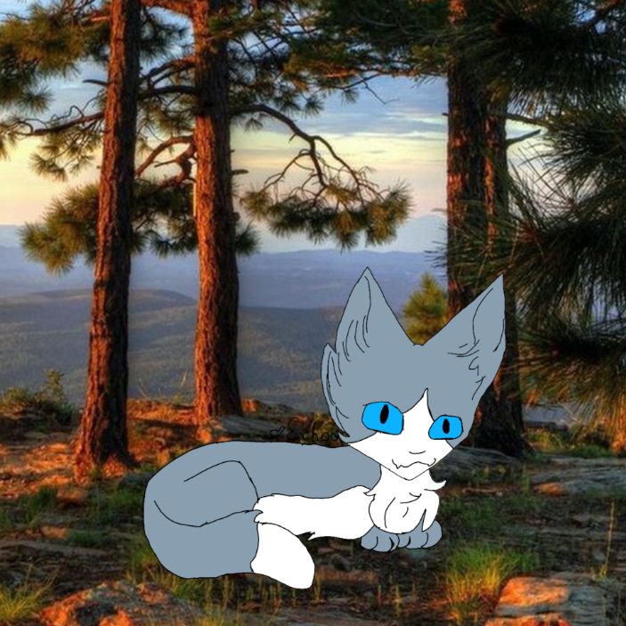 Иконка канала ✶ Ech𖦹๋࣭ ๋⋆