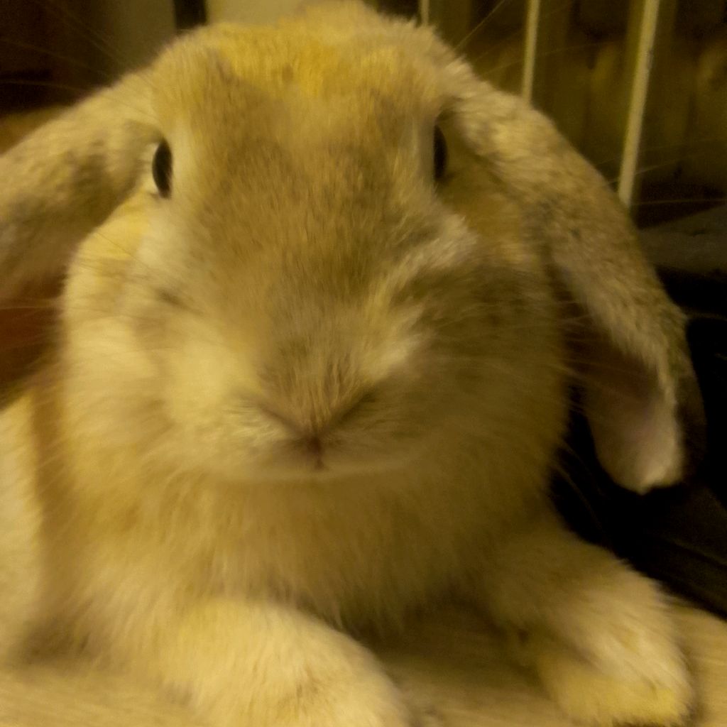 Иконка канала Паркур