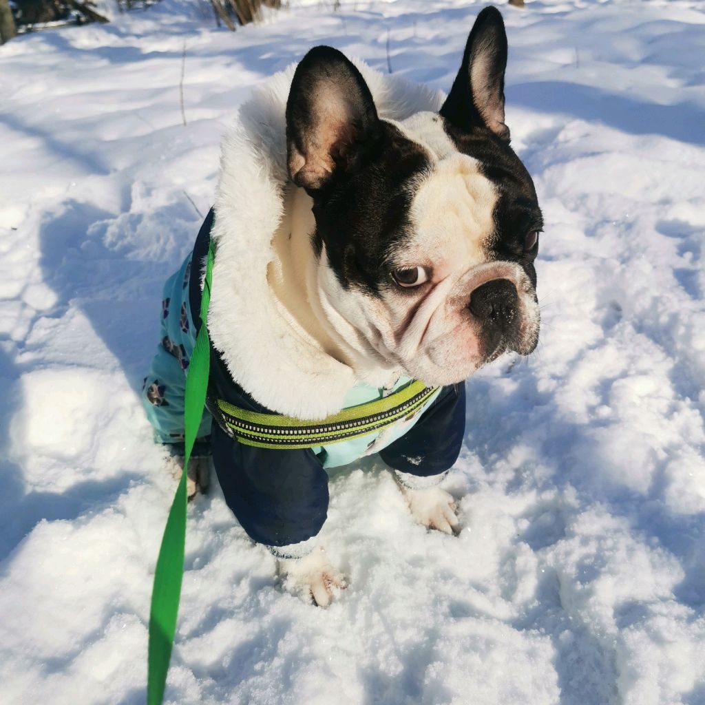 Иконка канала Просто о сложном