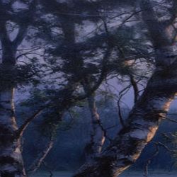 Иконка канала VC