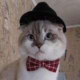 Иконка канала Бонифаций Стифанович