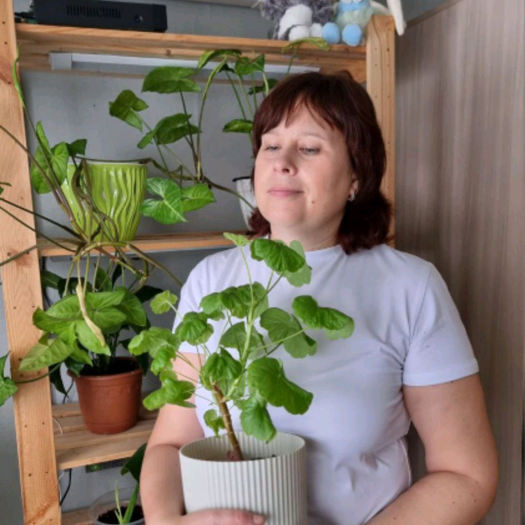 Иконка канала marinin.dom