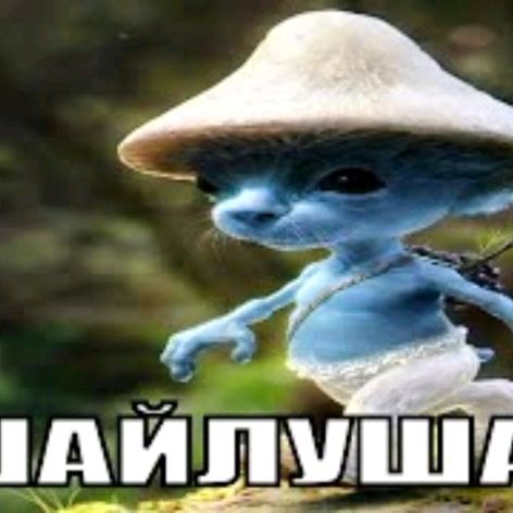 Иконка канала Не Снимаю До Марта 10 Шай Лушай