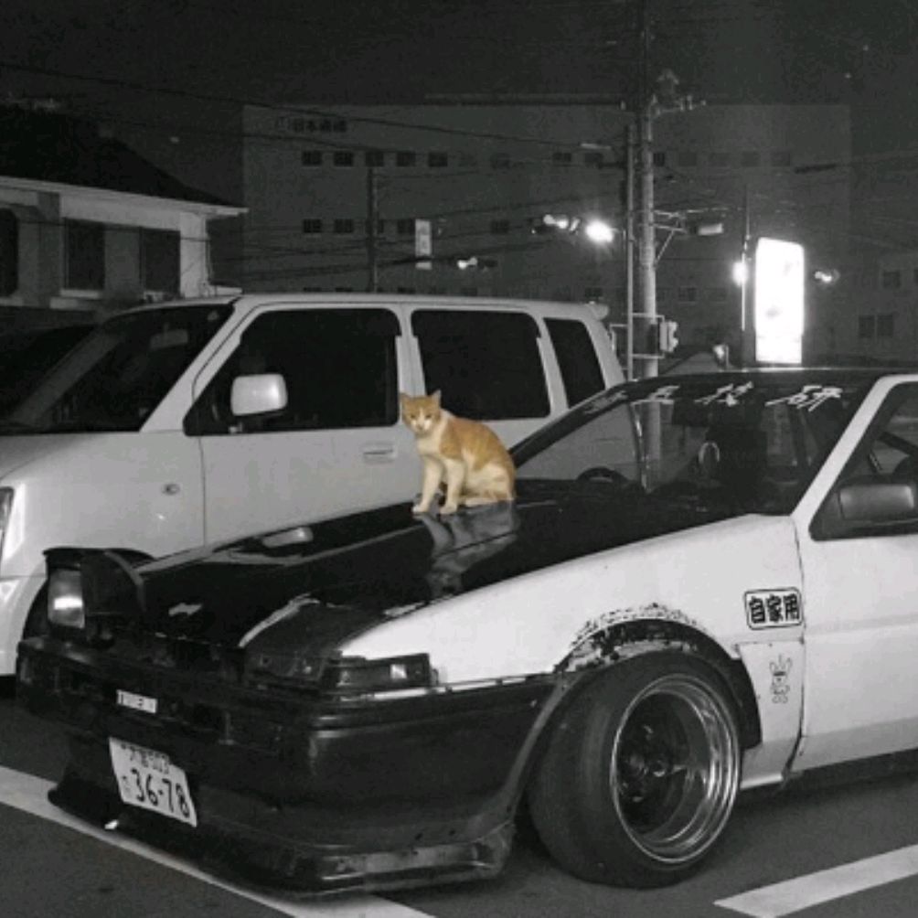 Иконка канала Meowl