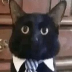 Иконка канала дядя Кот