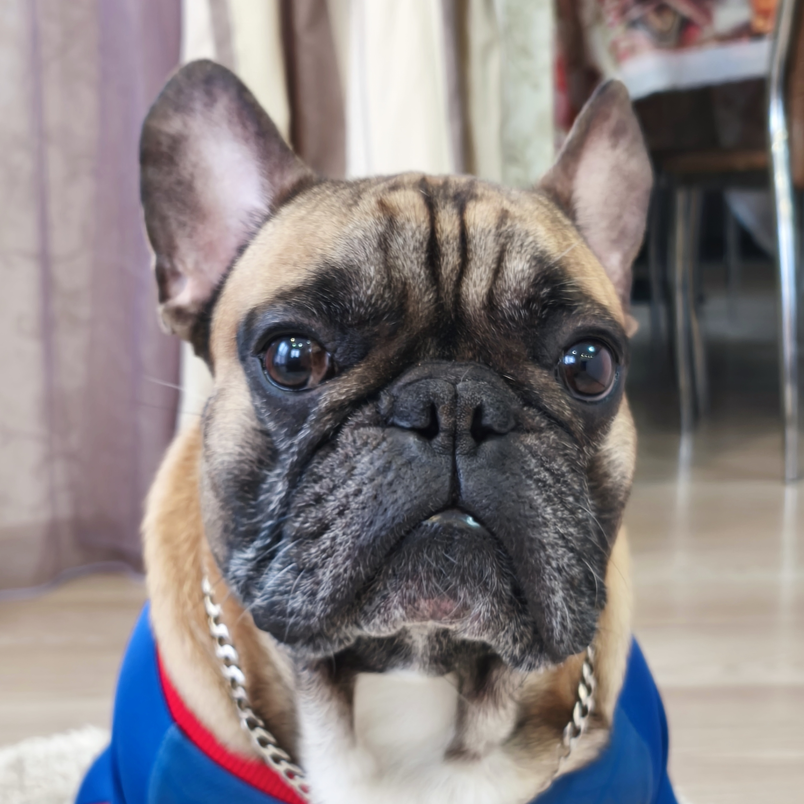 Иконка канала by_archibald