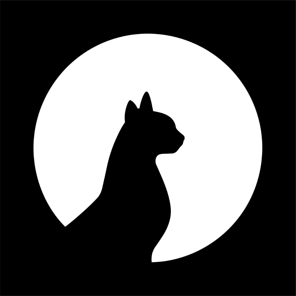 Иконка канала Кот и Луна