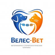 Иконка канала Ветеринарная клиника ВЕЛЕС-ВЕТ | Челябинск