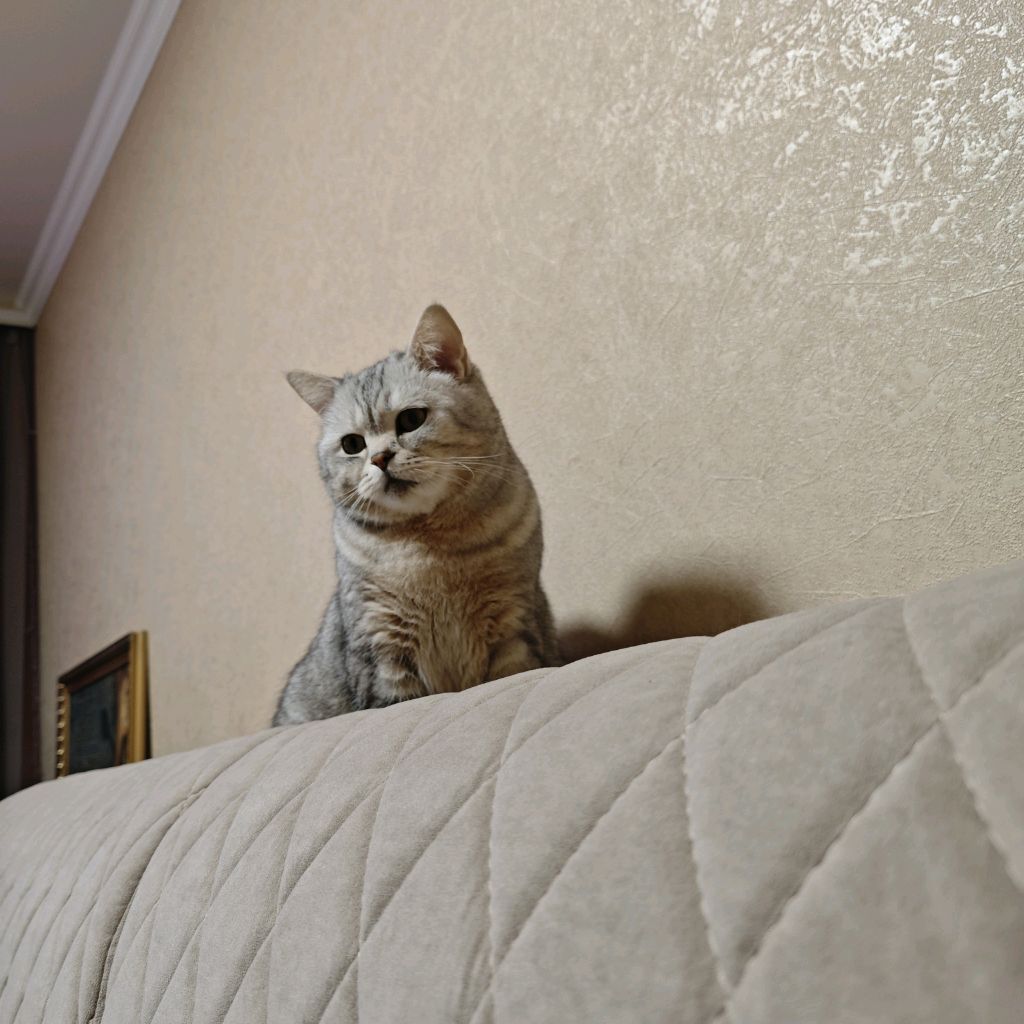 Иконка канала Марсик