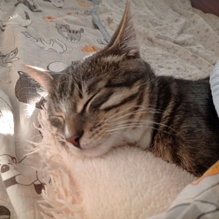 Иконка канала Аварийный-ко(т).