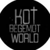 Иконка канала Worldbegemotkot t