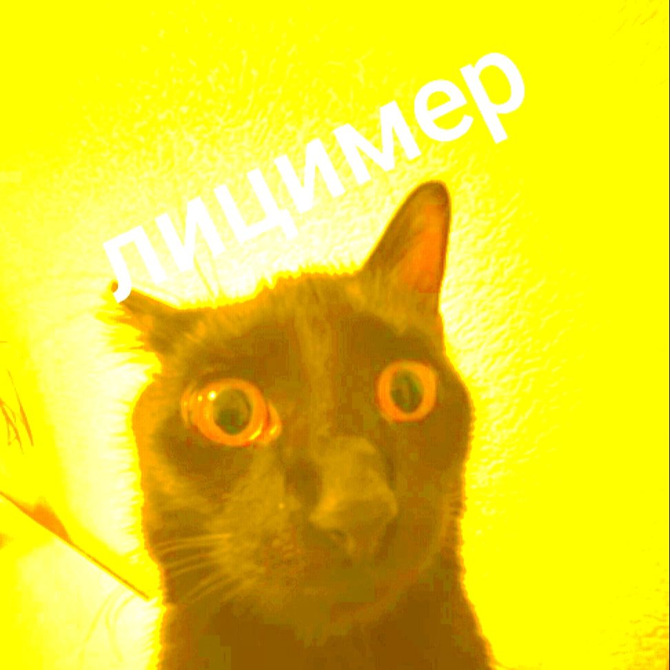 Иконка канала Licimer1986