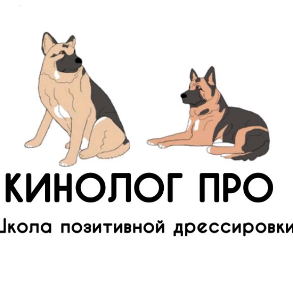 Иконка канала КИНОЛОГ ПРО онлайн школа позитивной дрессировки