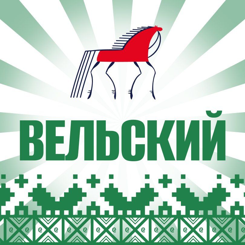 Иконка канала Администрация Вельского муниципального округа