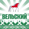 Иконка канала Администрация Вельского муниципального округа