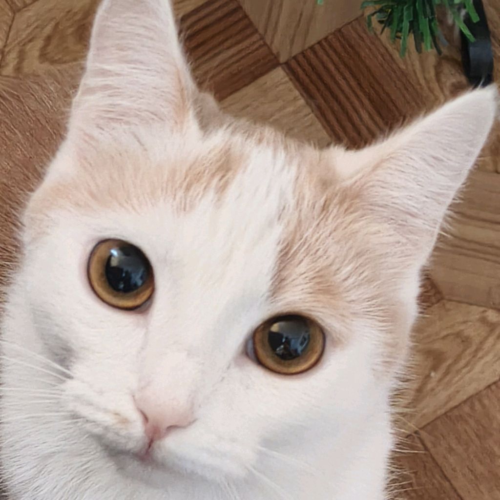 Иконка канала Реборны И Беби Боны