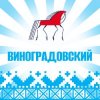Иконка канала Администрация Виноградовского округа