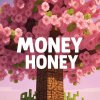 Иконка канала Money_Honey