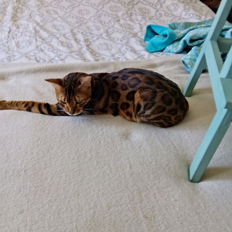 Иконка канала Мои Канал