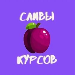 Иконка канала SLIVKURSOV2026