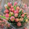 Иконка канала Фантазия