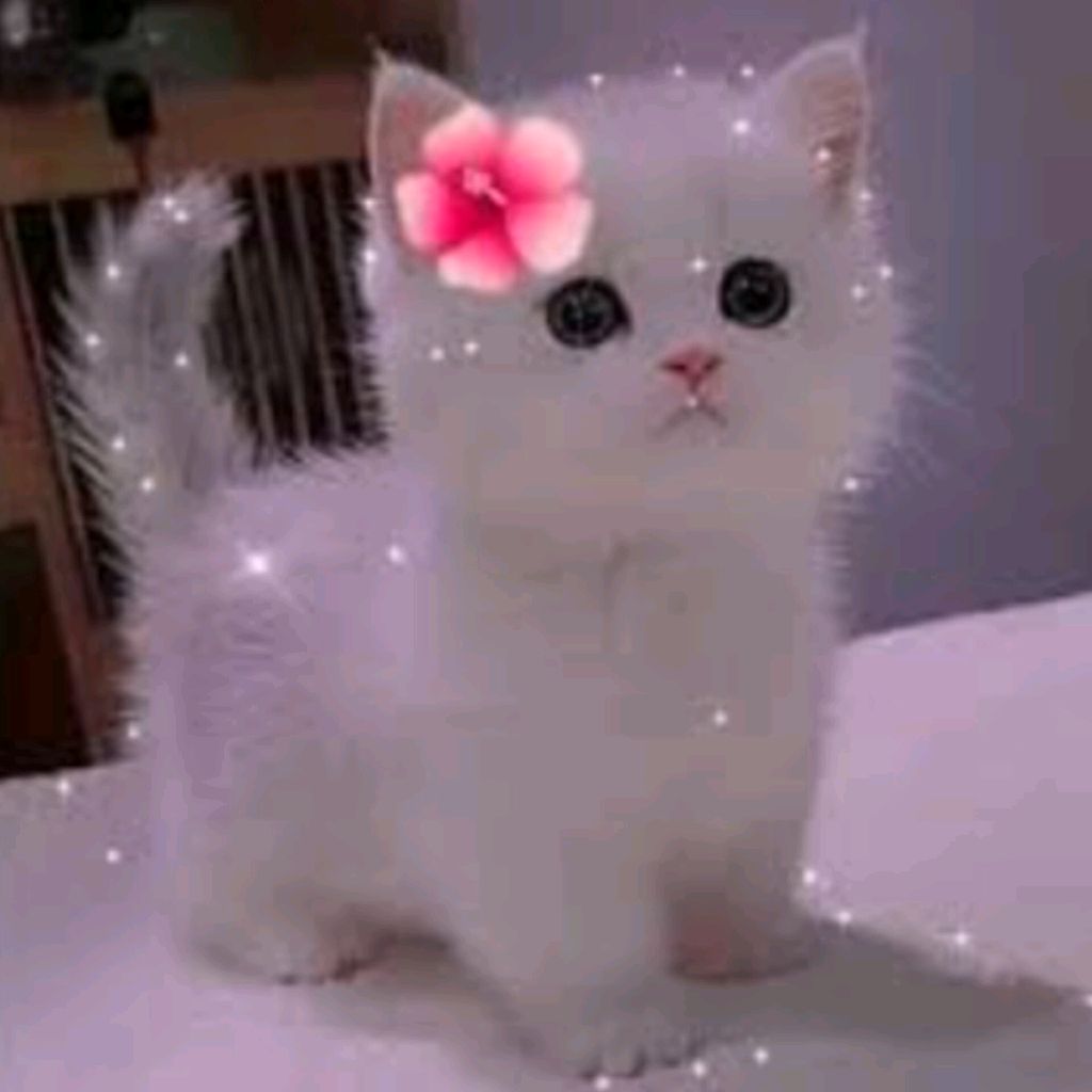 Иконка канала 🍫Милка Шоколадка🍫