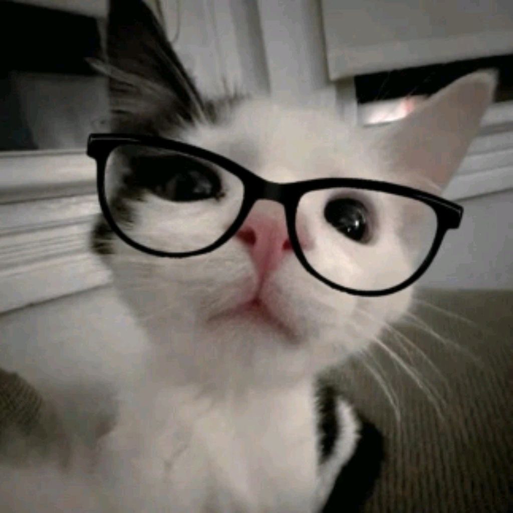 Иконка канала Yaroslavr88 Кити Мяу