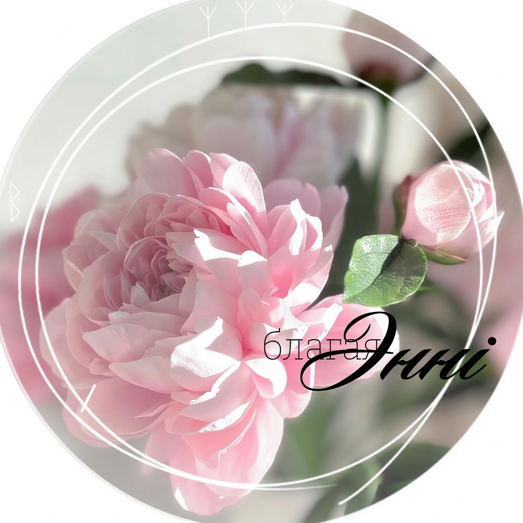 Иконка канала благая Энни