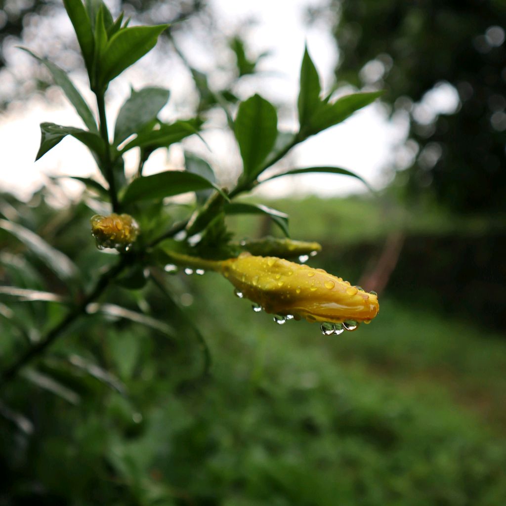 Иконка канала Релакс