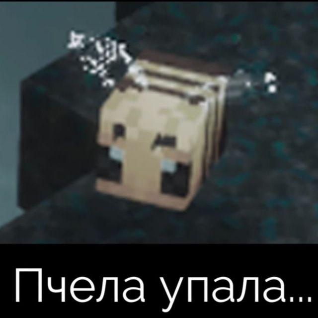 Иконка канала ПчелRT