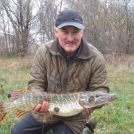 Иконка канала Чудная Рыбалочка