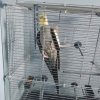 Иконка канала Саша Маинкрафт
