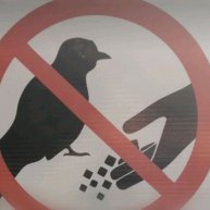 Иконка канала Снорклинг от доктора.