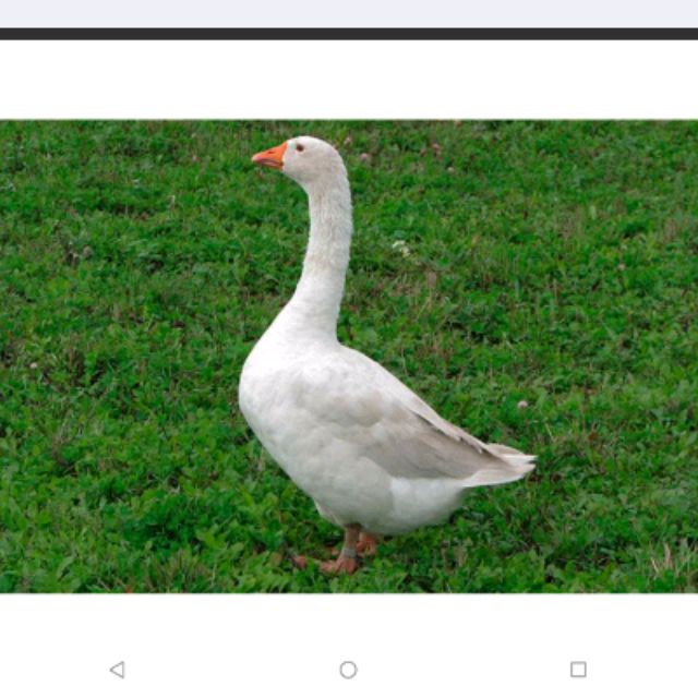 Иконка канала Иван на берёт 100 Подписчиков