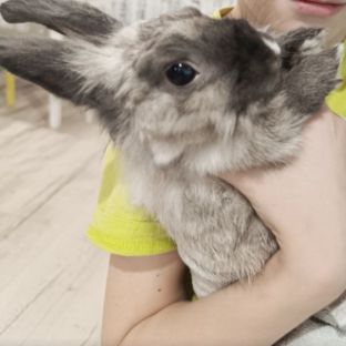 Иконка канала максим x