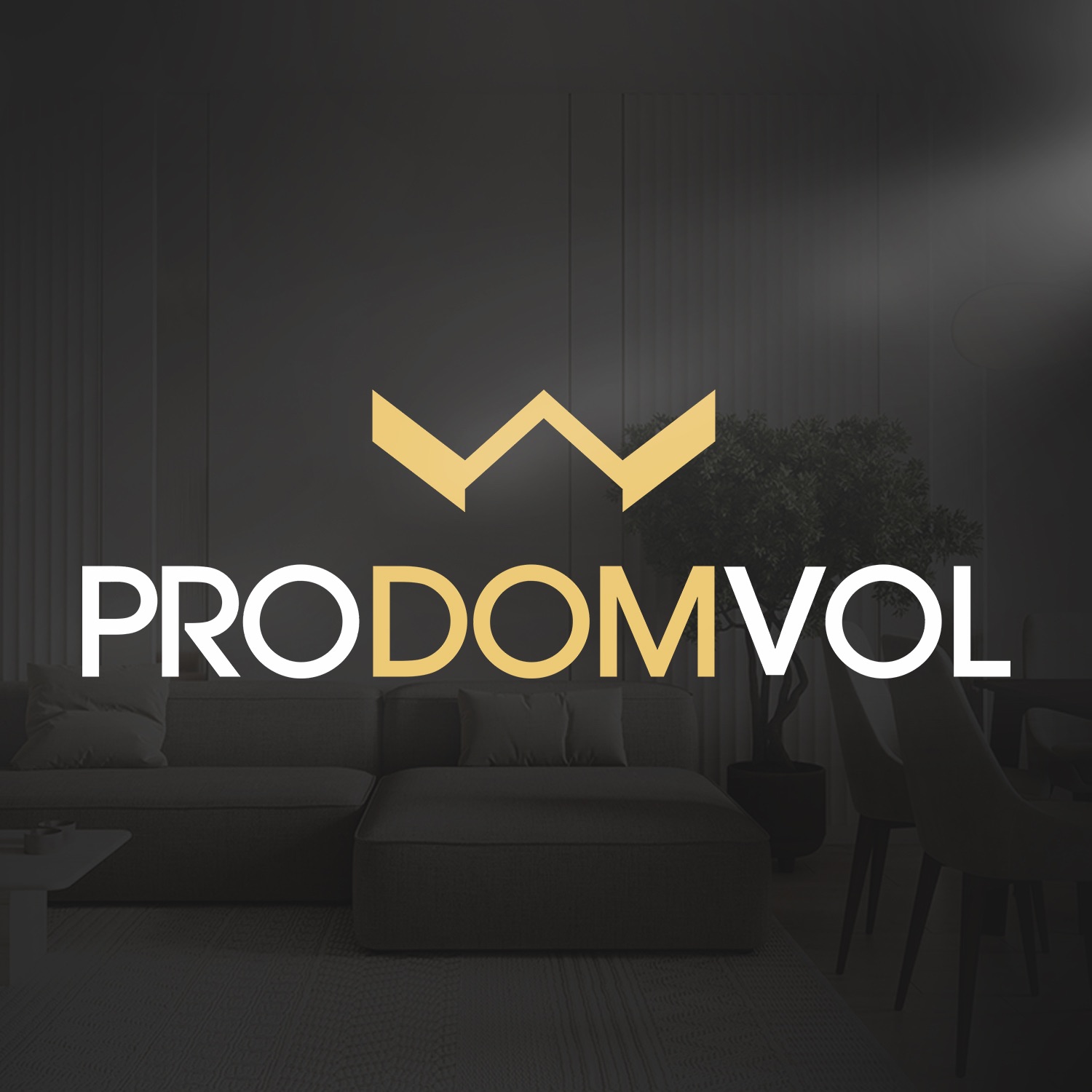 Иконка канала ProDomVol