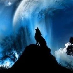 Иконка канала More Records®