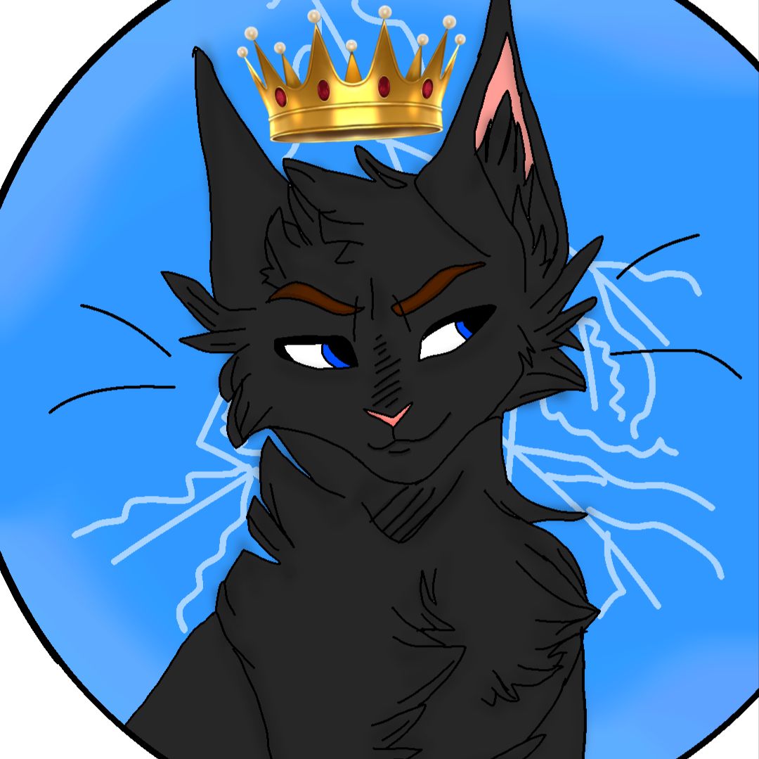 Иконка канала 🍃Toff🍃kv🐯