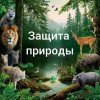 Иконка канала Защита природы