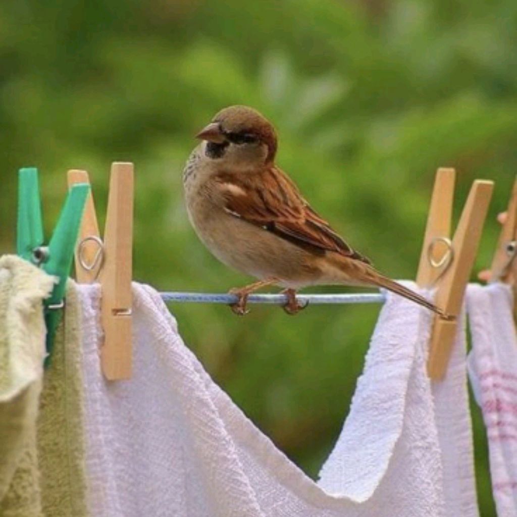 Иконка канала courtney37