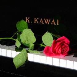 Иконка канала channel39900250