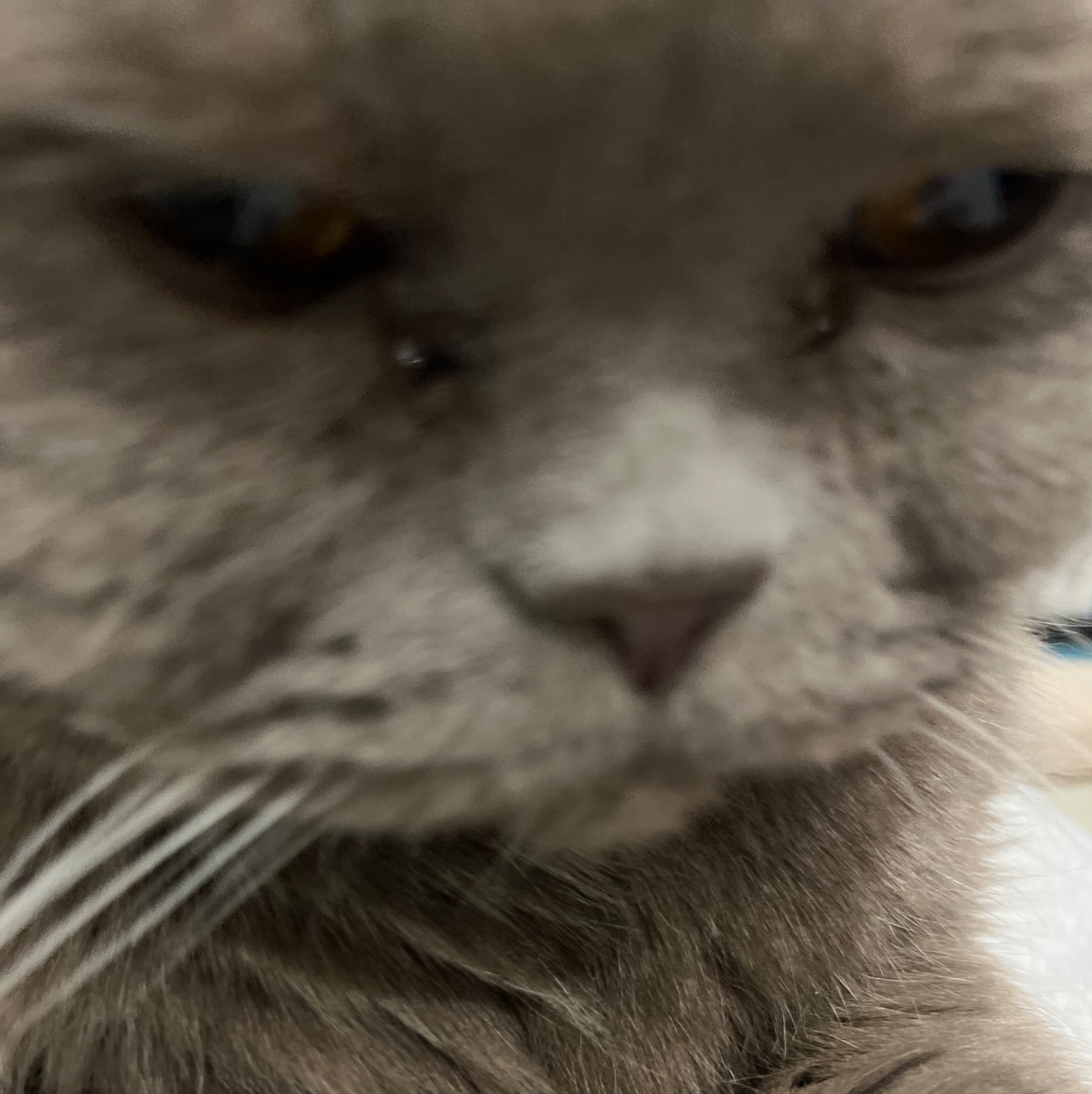 Иконка канала Микрон