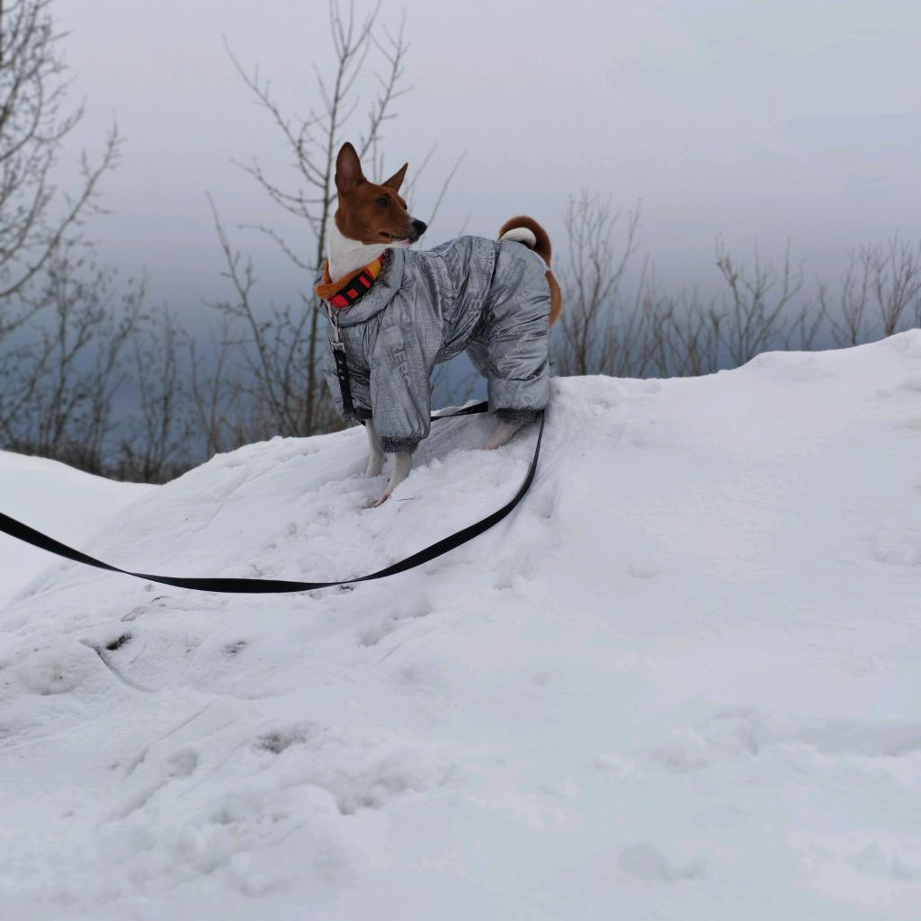 Иконка канала Медоваяᴮᵃˢᵉⁿʲⁱ🥞