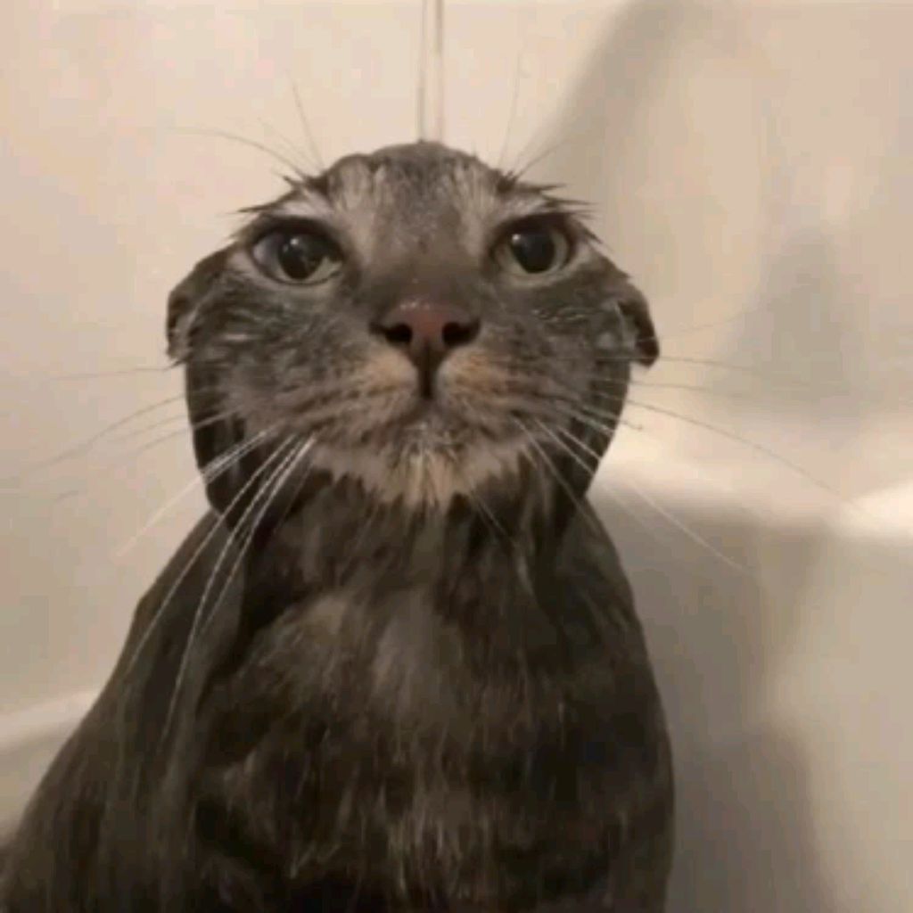 Иконка канала 🎈ЛёшаPENNY🎈