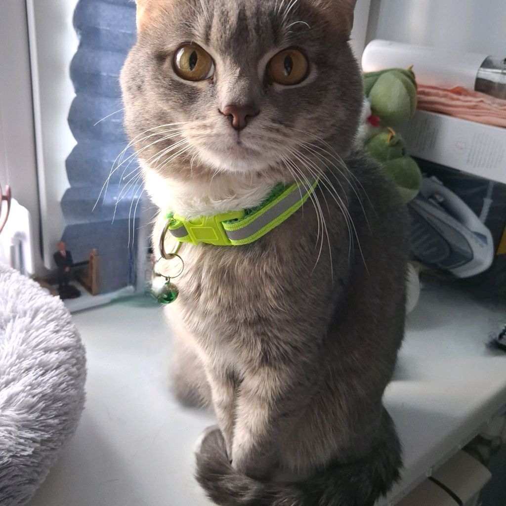 Иконка канала Никитос