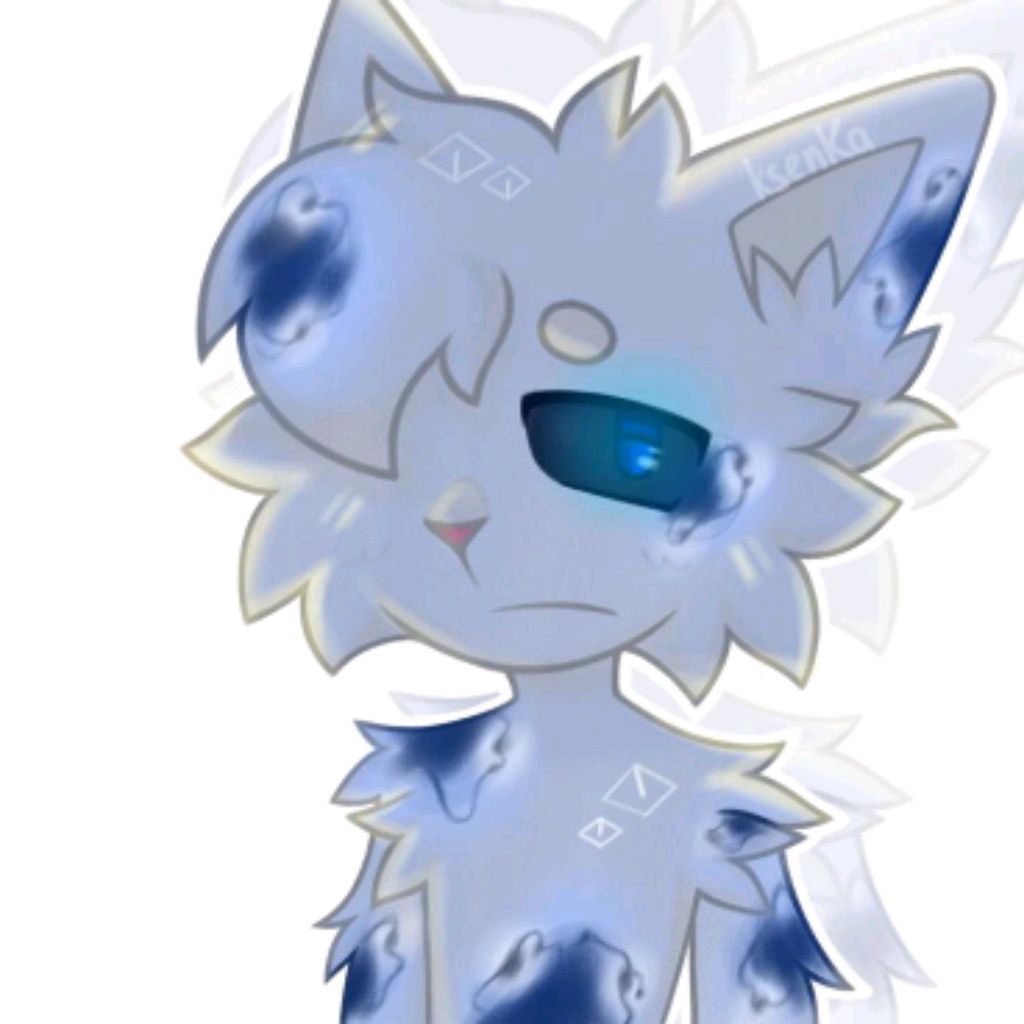 Иконка канала 🤍Белискас🤍(рк) БЕЛЫЙ КУТС ЫЫЫ