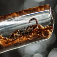 Иконка канала Shavrr - Человек Ч