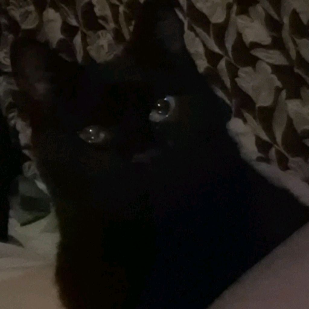 Иконка канала Артём гусынин