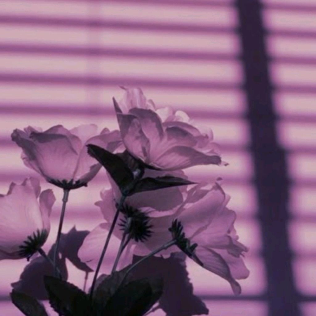 Иконка канала Liza.lovely