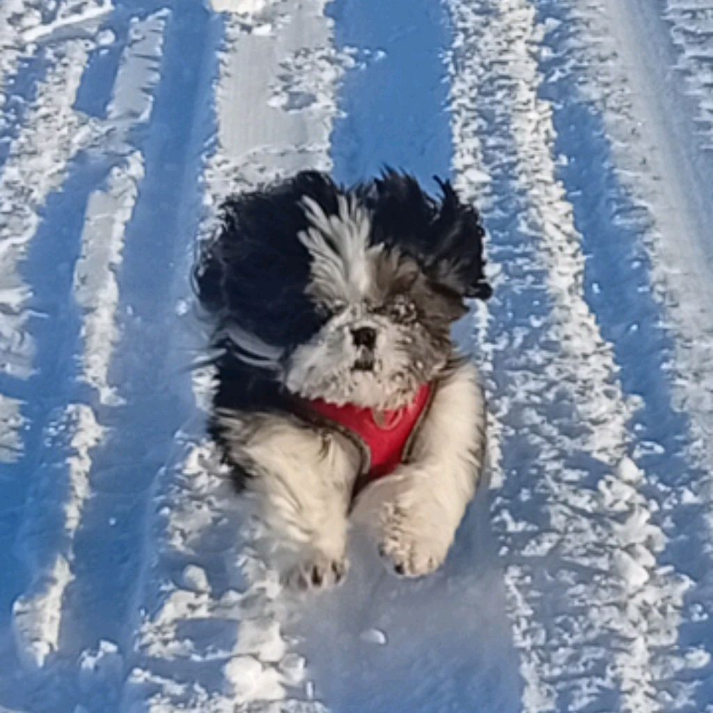 Иконка канала Жизнь со вкусом